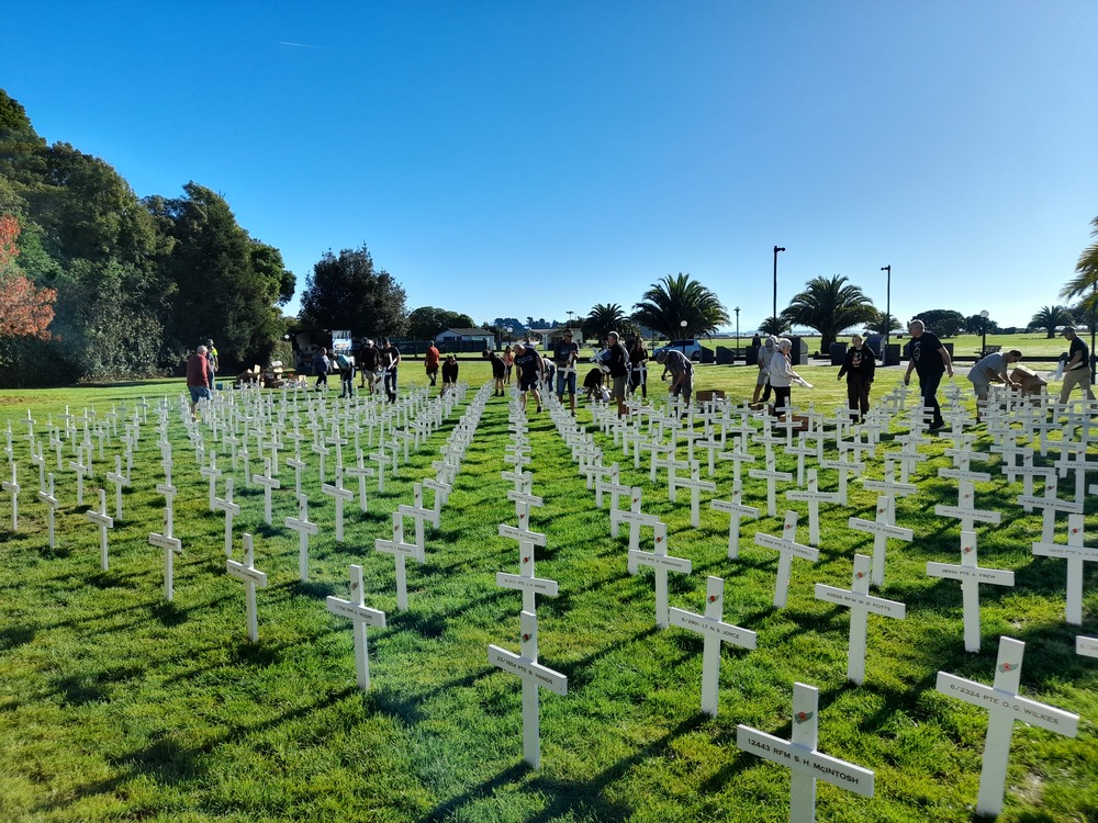 Field of Remembrance | South Canterbury RSA Timaru